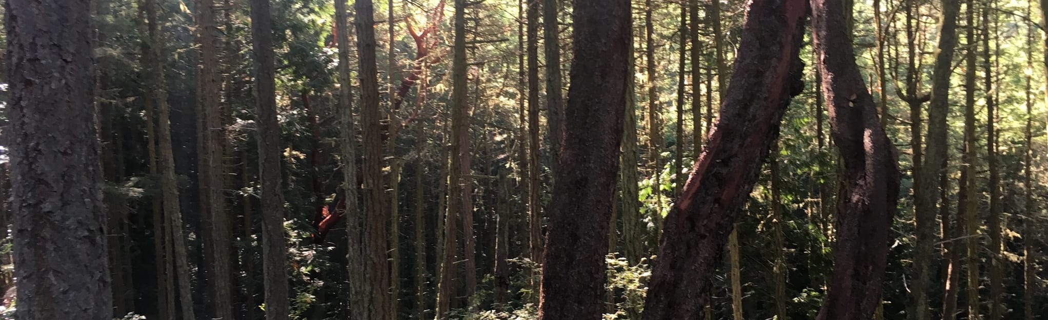 Roundabout, Humpty Dump, Boundary Trail, and Hugh's Delight Loop | Map ...