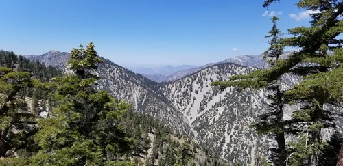 10 Best Trails and Hikes in Lytle Creek | AllTrails