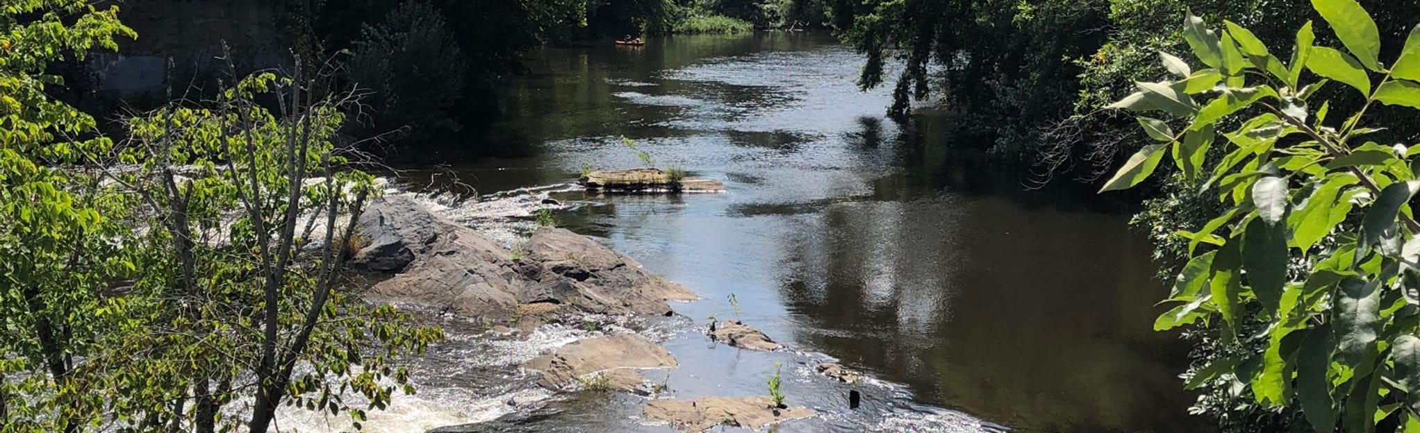 Pawtuxet River Trail : 118 foto - Rhode Island | AllTrails