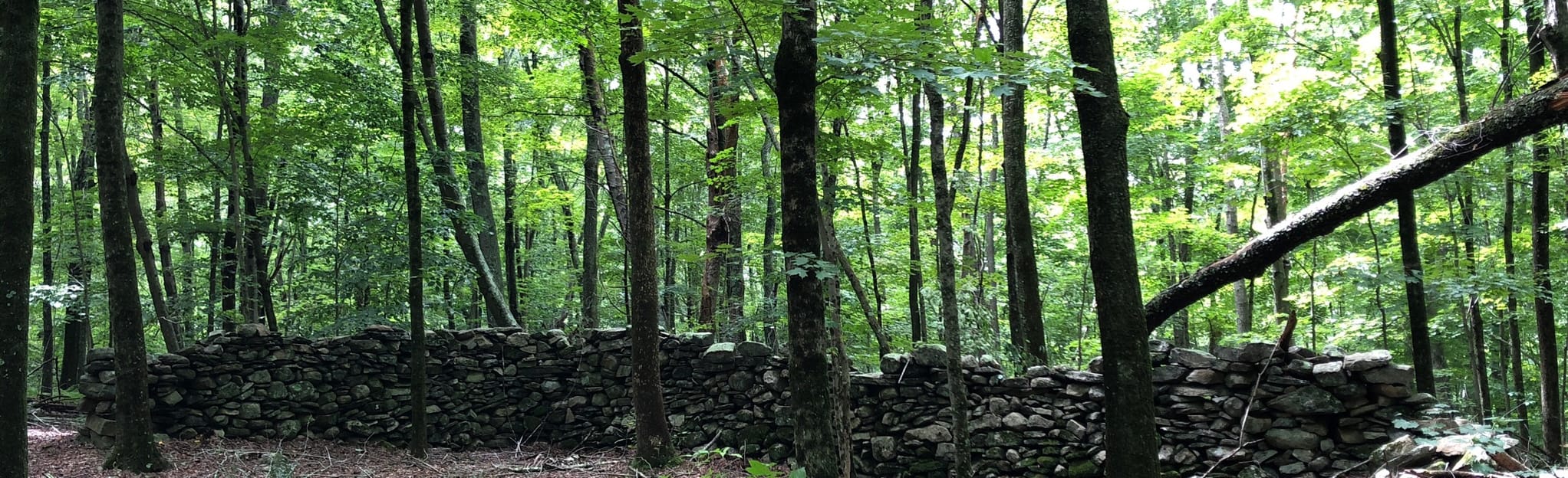 Beebe Trail, Connecticut - 72 Reviews, Map | AllTrails