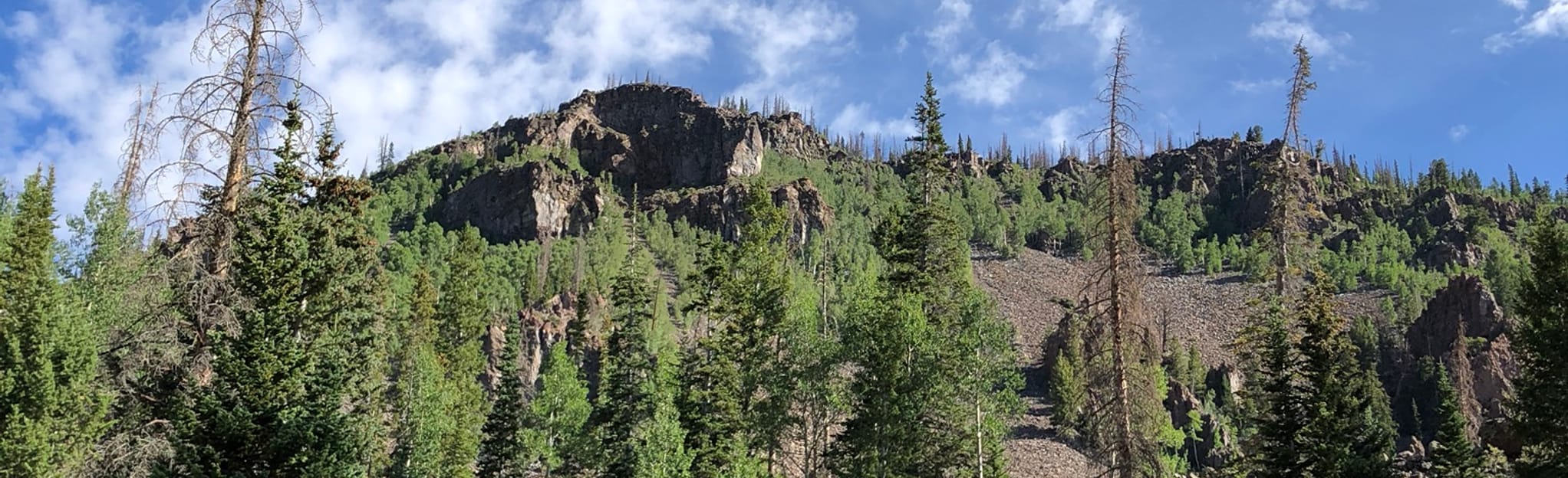 Fish Lake Mountains: 3 Reviews, Map - Utah | AllTrails