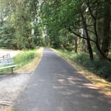 Green River Trail, Washington - 198 Reviews, Map | AllTrails