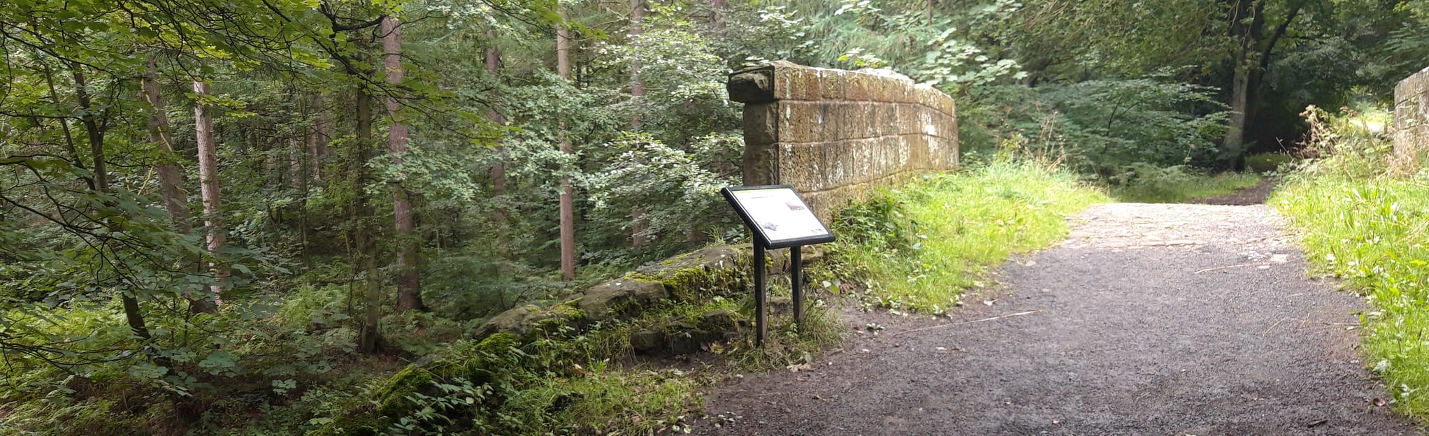 Chopwell Woods and River Derwent Circular: 216 Reviews, Map - Tyne and ...