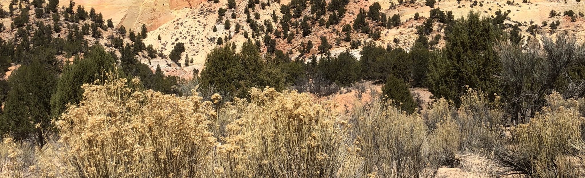 The Barracks Trail, Utah - 163 Reviews, Map | AllTrails