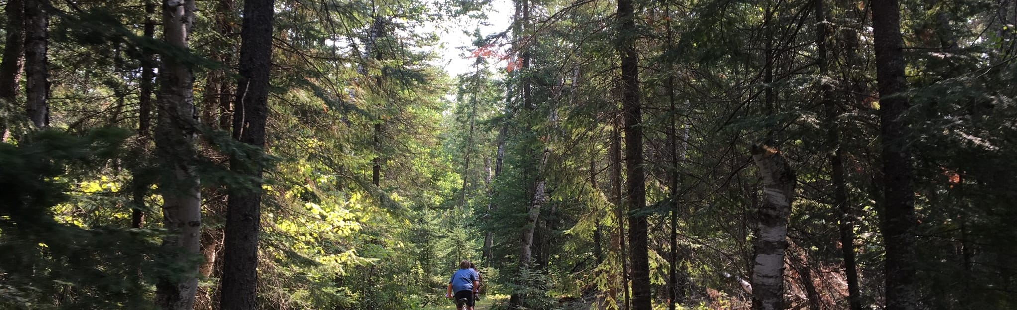 Black’s Point to Little Grindstone: 6 Reviews, Map - Manitoba, Canada ...