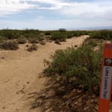 Lake Lucero Path, New Mexico - 7 Reviews, Map | AllTrails
