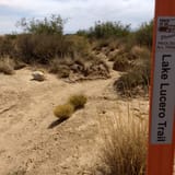 Lake Lucero Path, New Mexico - 7 Reviews, Map | AllTrails