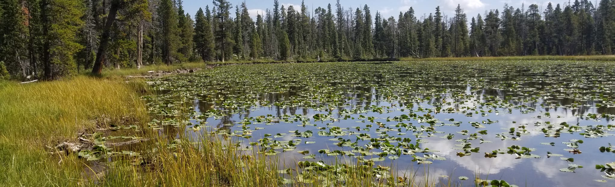 Fish Lake via Tamarak Lake and North Fork Sheep Creek Trails, Wyoming ...