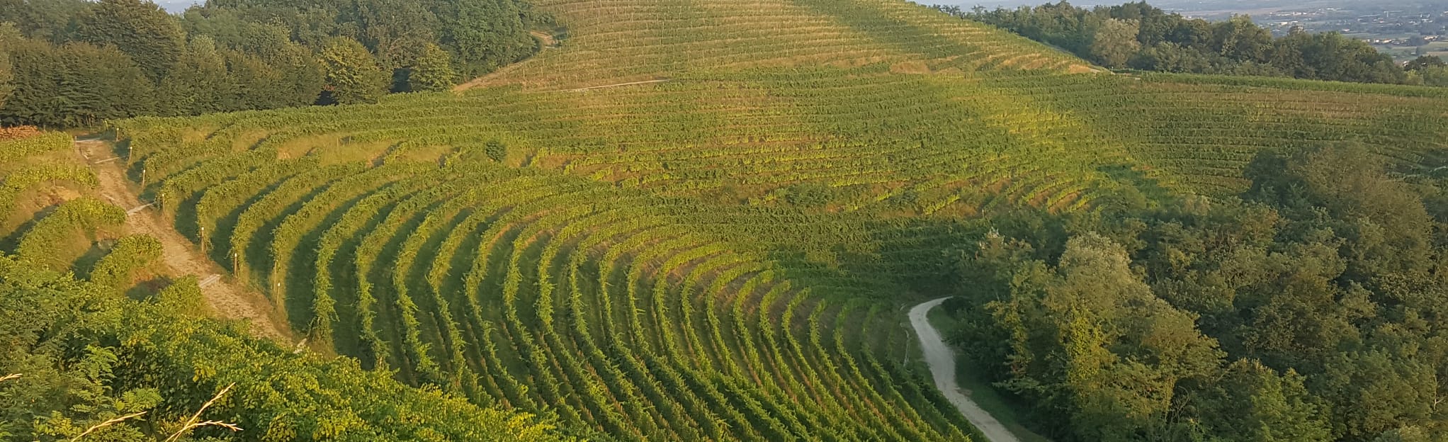 Pecol di Semine, Friuli-Venezia Giulia, Italy - 3 Reviews, Map | AllTrails