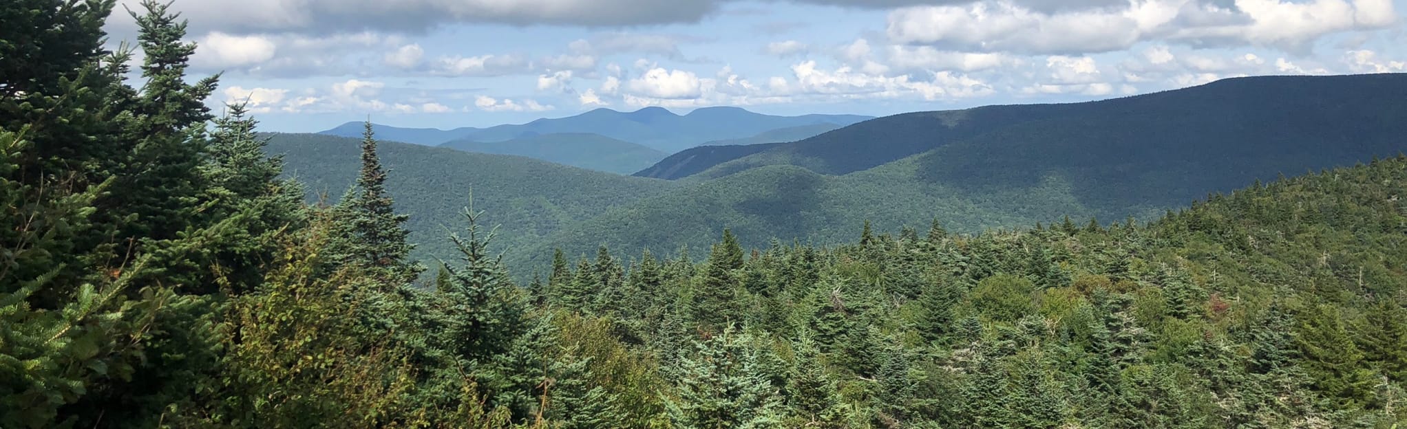 Devil's Path Red Trail, New York - 95 Reviews, Map | AllTrails