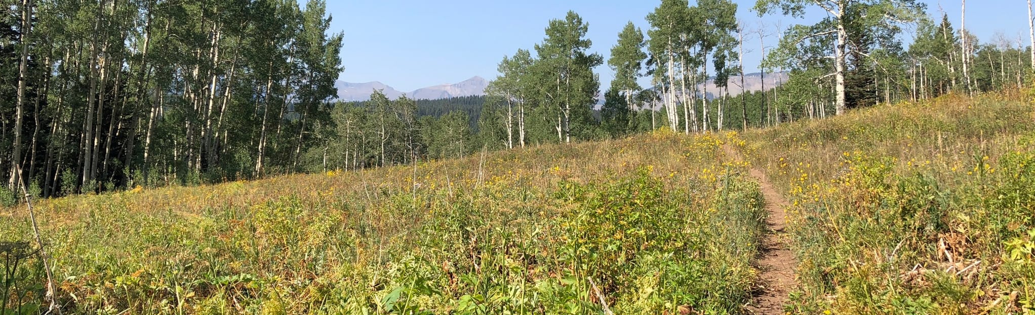 Swampy Pass Trail: 21 Reviews, Map - Colorado | AllTrails