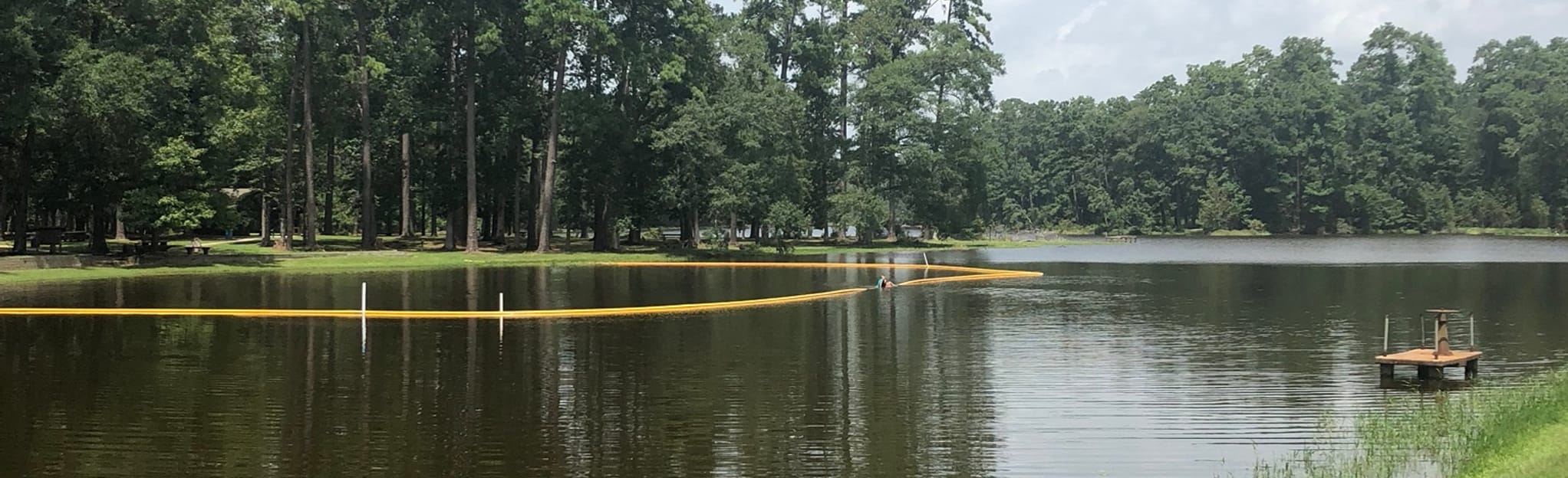 Lone Star Hiking Trail: Magnolia Segment, Texas - 27 Reviews, Map ...