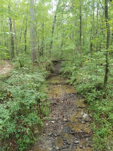 2023 Best 10 Walking Trails in Oak Mountain State Park | AllTrails