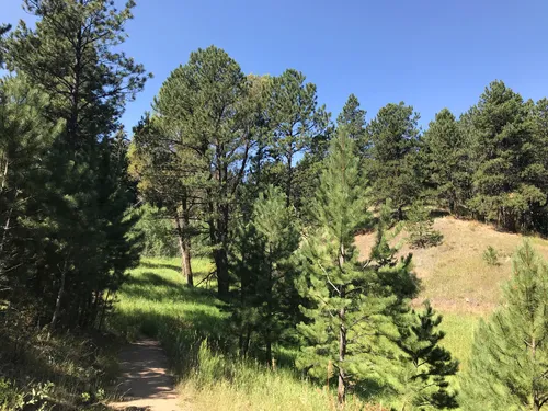 10 Best Hikes and Trails in White Ranch Park | AllTrails