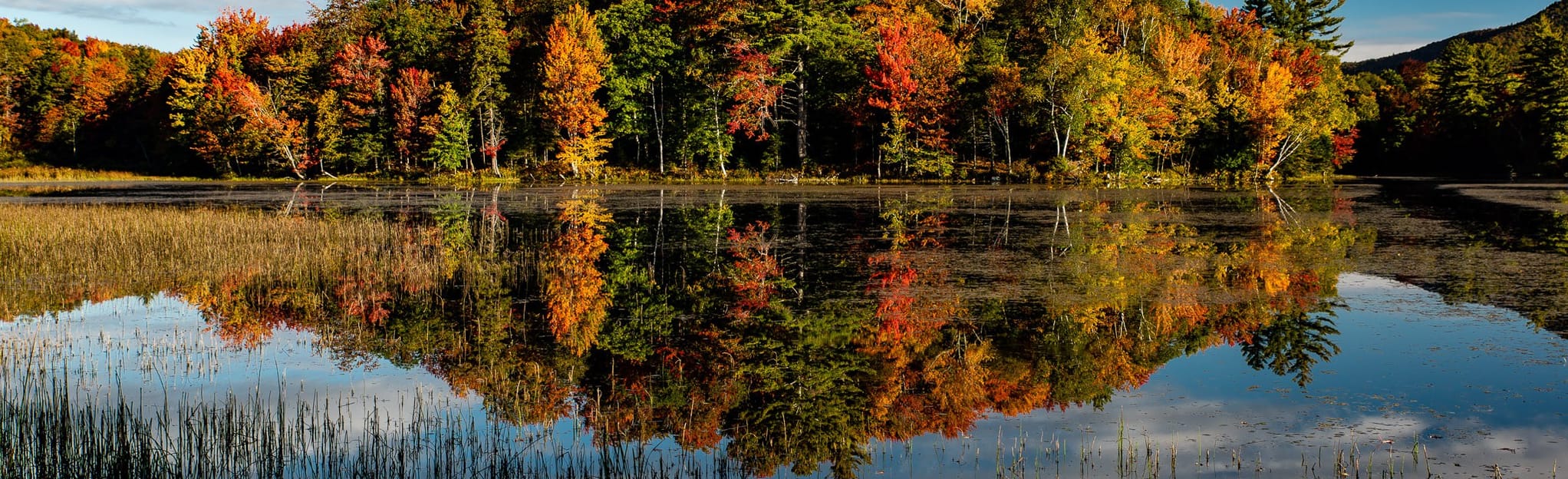 Leffert's Pond Trail: 99 Reviews, Map - Vermont | AllTrails