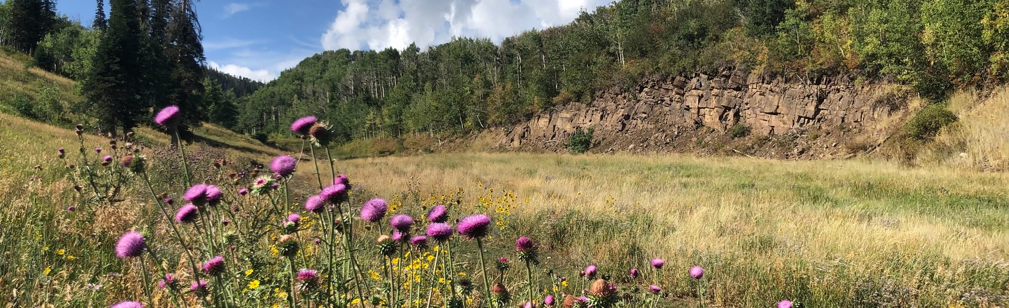 Jupiter Peak Loop via Keystone, Spiro Trails: 8 Reviews, Map - Utah ...