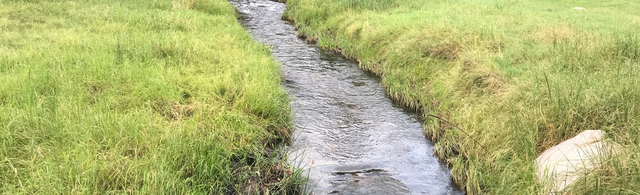 Grace Coolidge Creekside Trail: 158 Reviews, Map - South Dakota | AllTrails