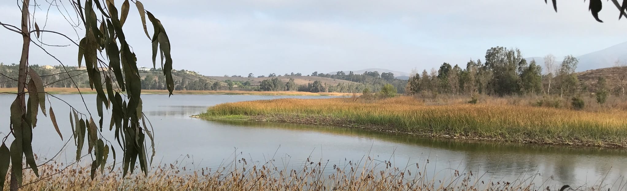 Lower Otay Reservoir: East Side, California - 397 Reviews, Map | AllTrails