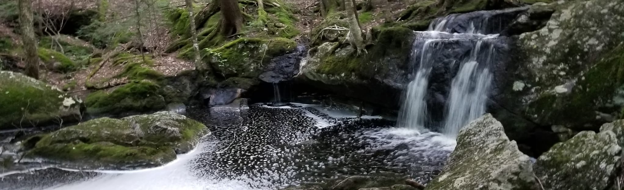 Pulpit Rock and Joppa Hill, New Hampshire - 284 Reviews, Map | AllTrails