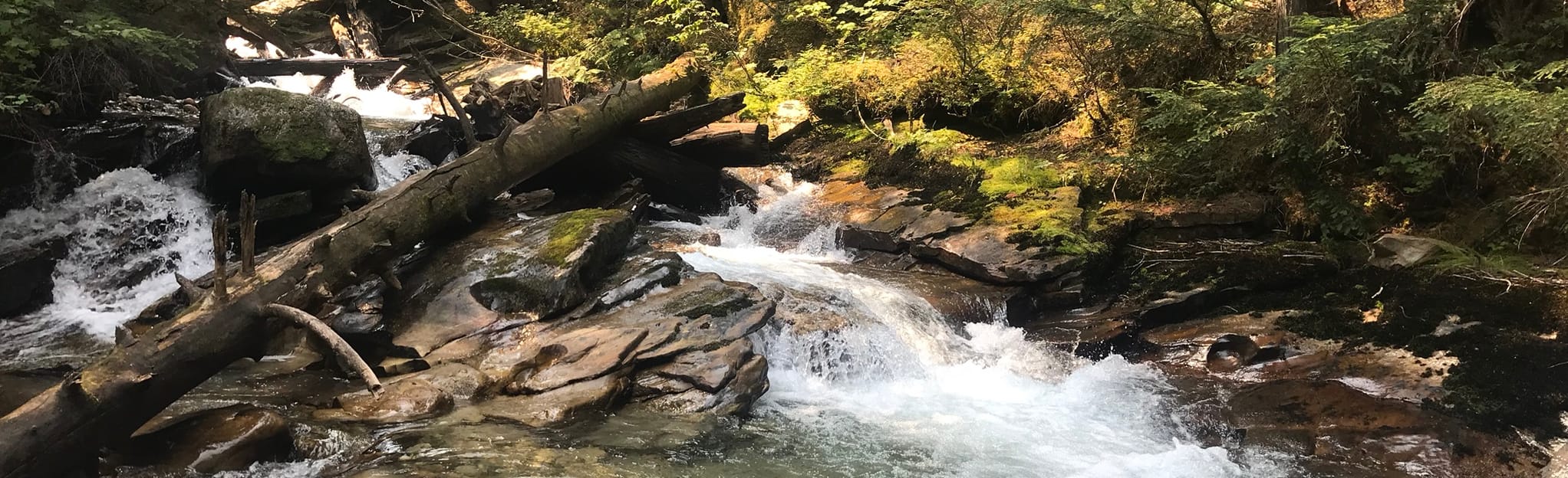 Begbie Falls via Bluff Trail , British Columbia, Canada - 346 Reviews ...