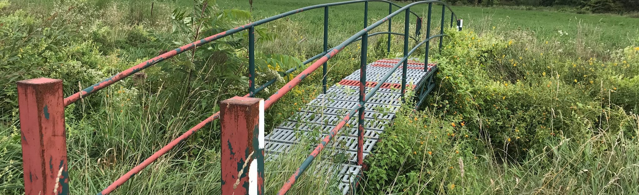 Avon Trail: RR 110 to Amulree: 22 Reviews, Map - Ontario, Canada ...