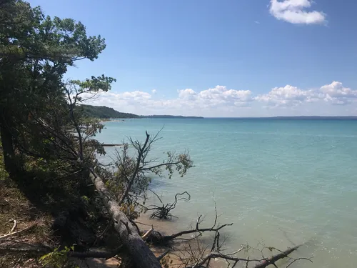 Best Hikes and Trails in Maple Bay Natural Area | AllTrails