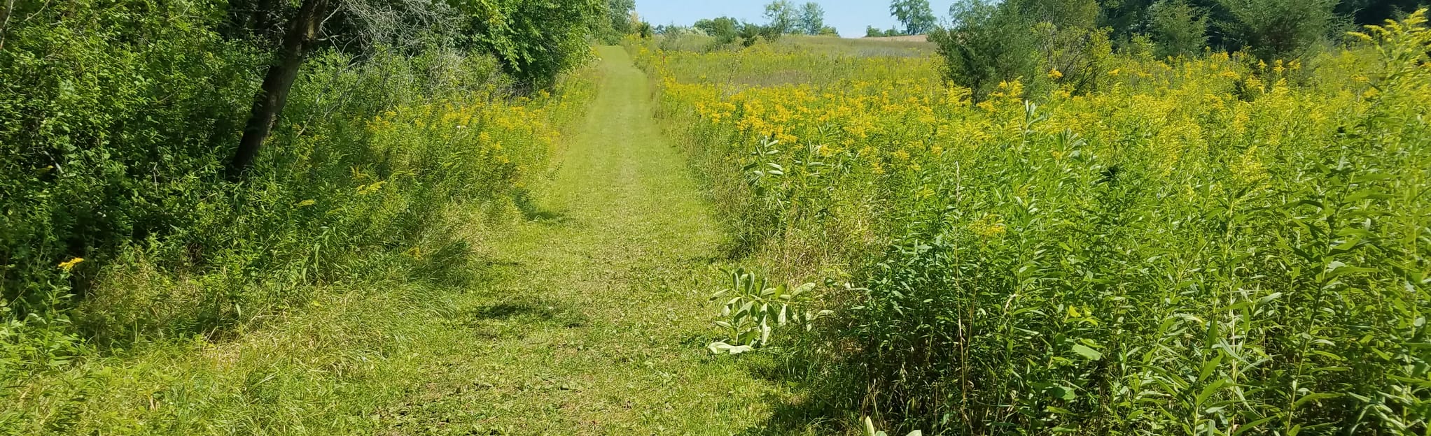White Tail Trail, Wisconsin - 26 Reviews, Map | AllTrails