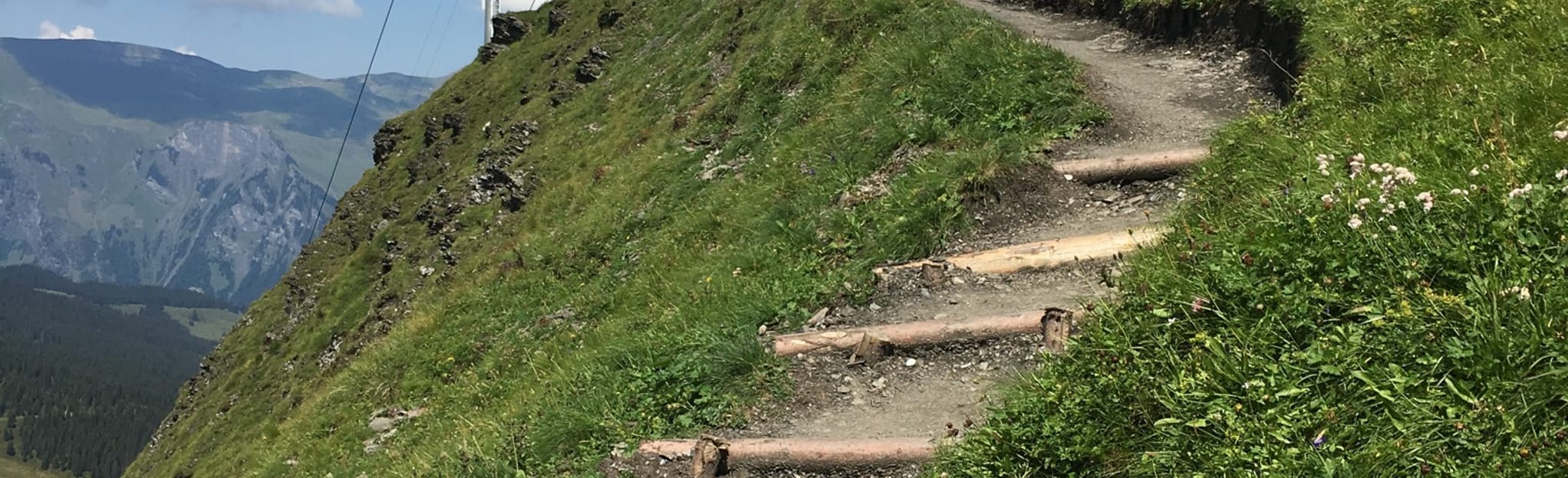 Alpiglen - Grindelwaldblick | Map, Guide - Bern, Switzerland | AllTrails