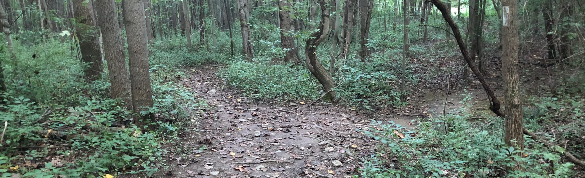 Harford Community College Walls-Cook Trail, Maryland - 29 Reviews, Map ...