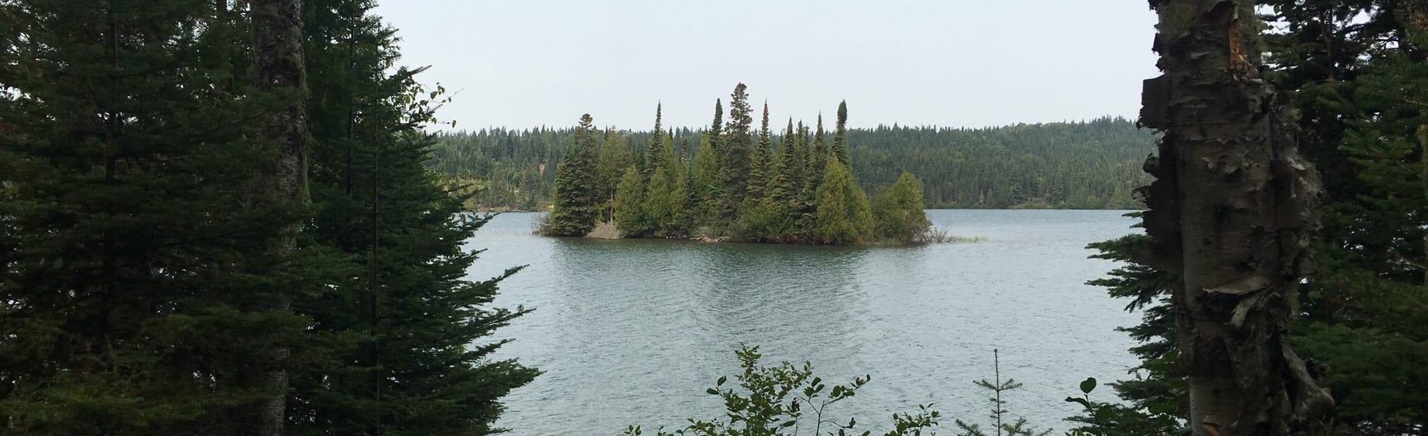 Suzy’s Cave Trail: 64 Reviews, Map - Michigan | AllTrails