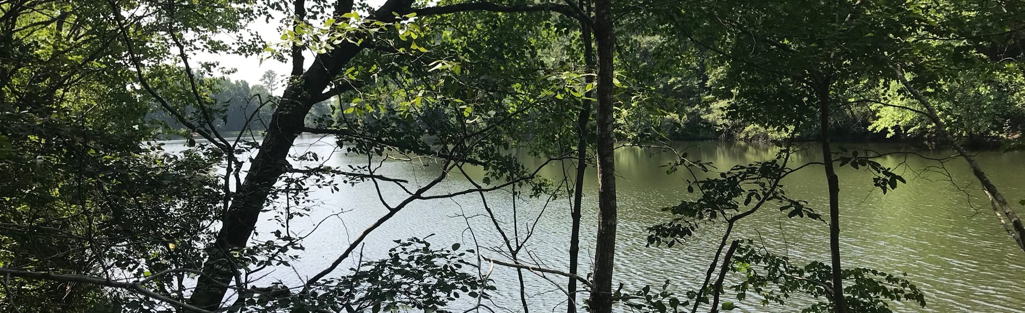 CEWC Yellow, Blue, and Red Trail - Georgia | AllTrails