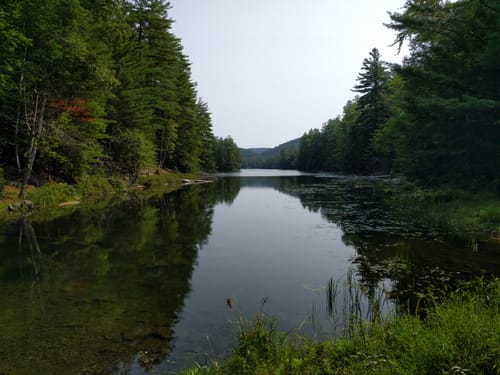 Best Hikes and Trails in Brant Lake | AllTrails