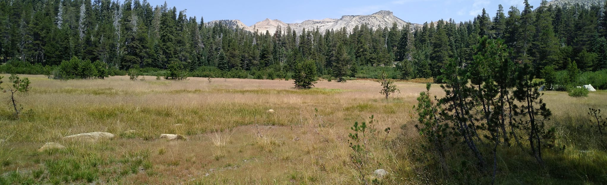 Forni Meadows Trail: 70 Reviews, Map - California | AllTrails