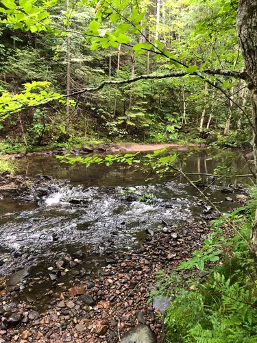 Best 10 Hikes and Trails in Escanaba River State Forest | AllTrails