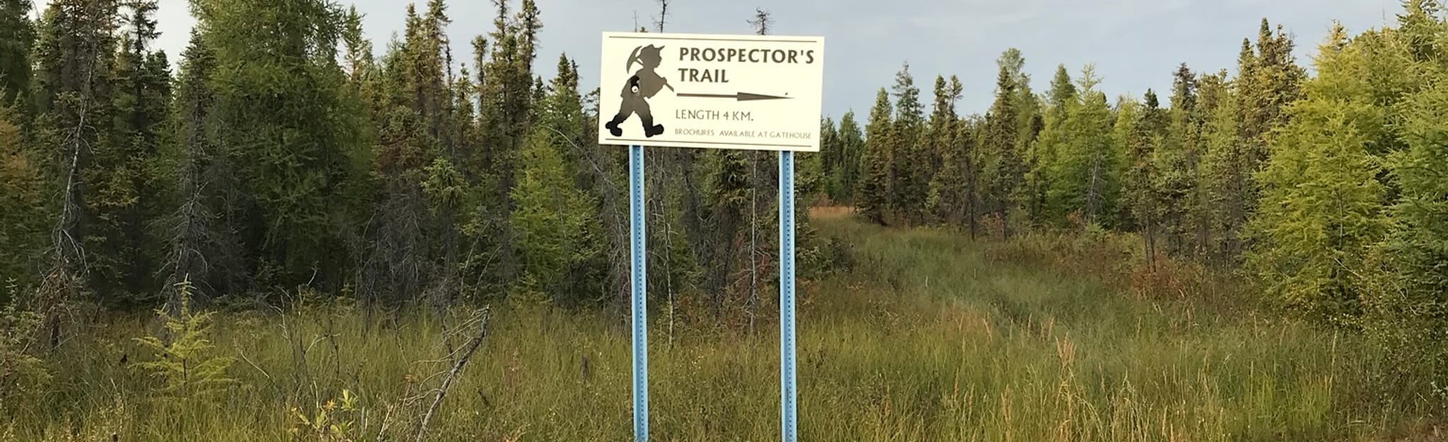 Prospectors Trail to Ingraham Loop: 54 Fotos - Nordwest-Territorien ...