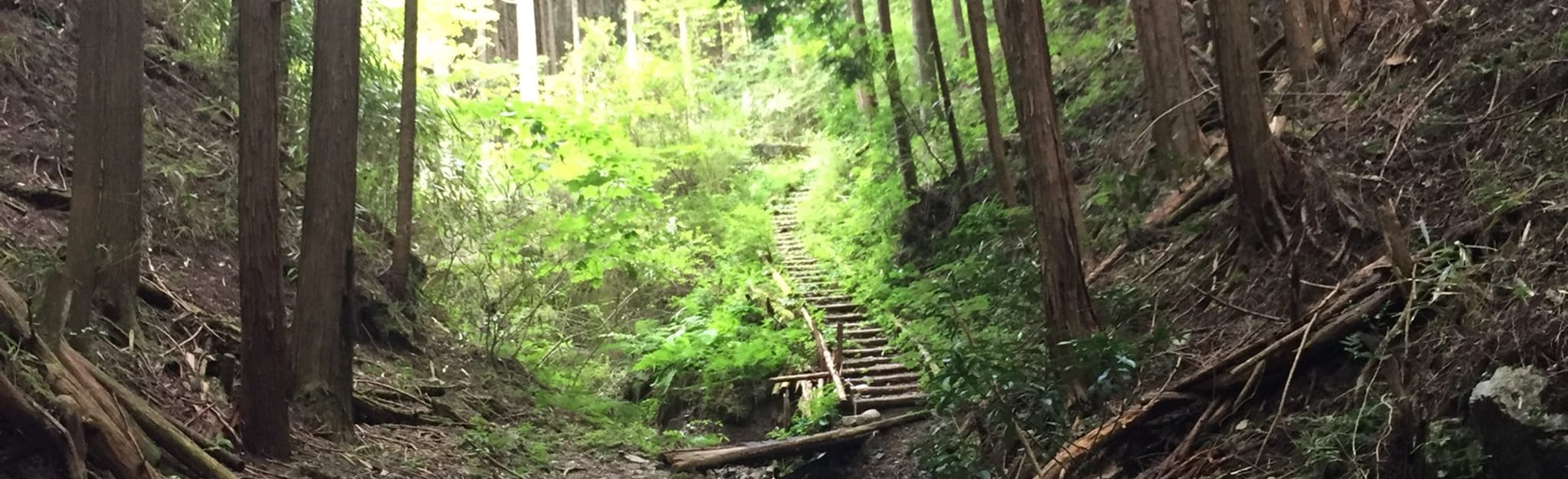 Mt. Kongo: Baba Valley Route, Osaka, Japan - Map, Guide | AllTrails