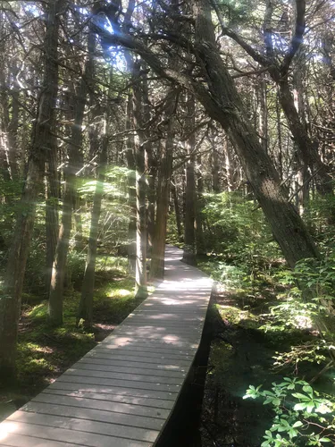 10 Best Walking Trails in Cape Cod National Seashore | AllTrails