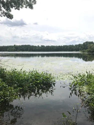 Best Hikes and Trails in Massasoit State Park | AllTrails