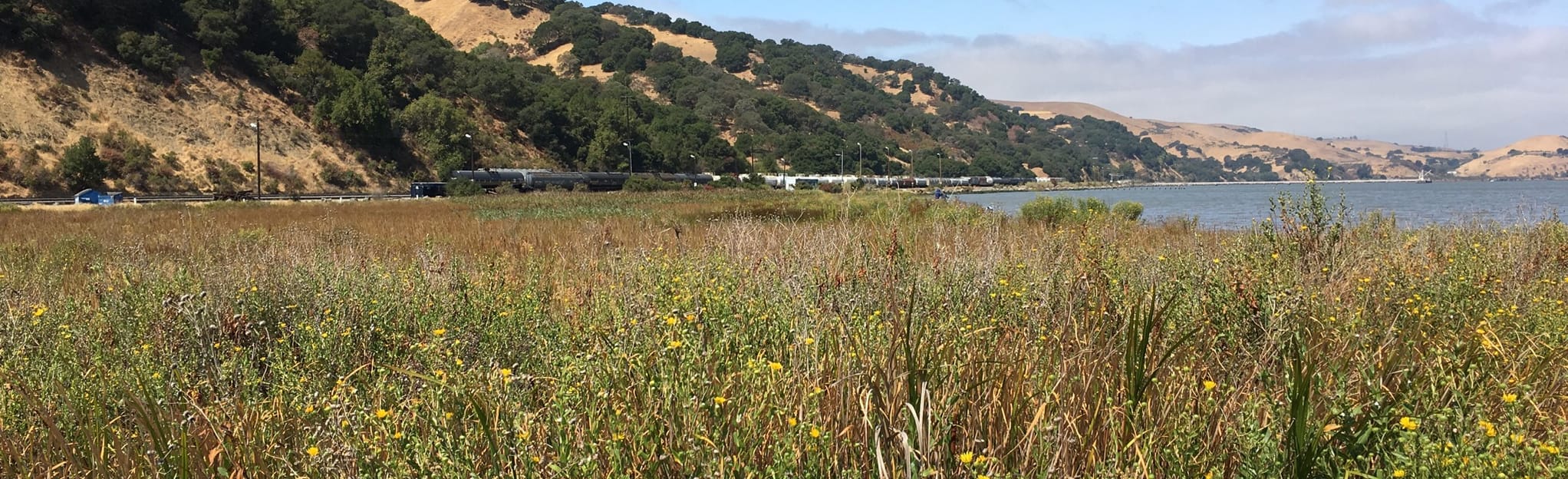 Pickleweed Trail: 67 Reviews, Map - California | AllTrails