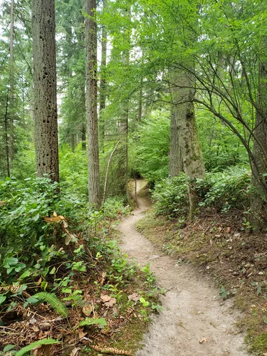 10 Best Trails and Hikes in Issaquah | AllTrails