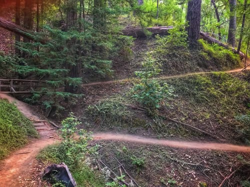 2023 Best 10 Waterfall Trails in Big Basin Redwoods State Park | AllTrails