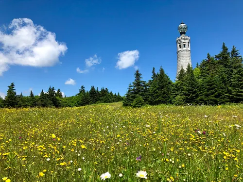 Best 10 Hikes and Trails in Mount Greylock State Reservation | AllTrails