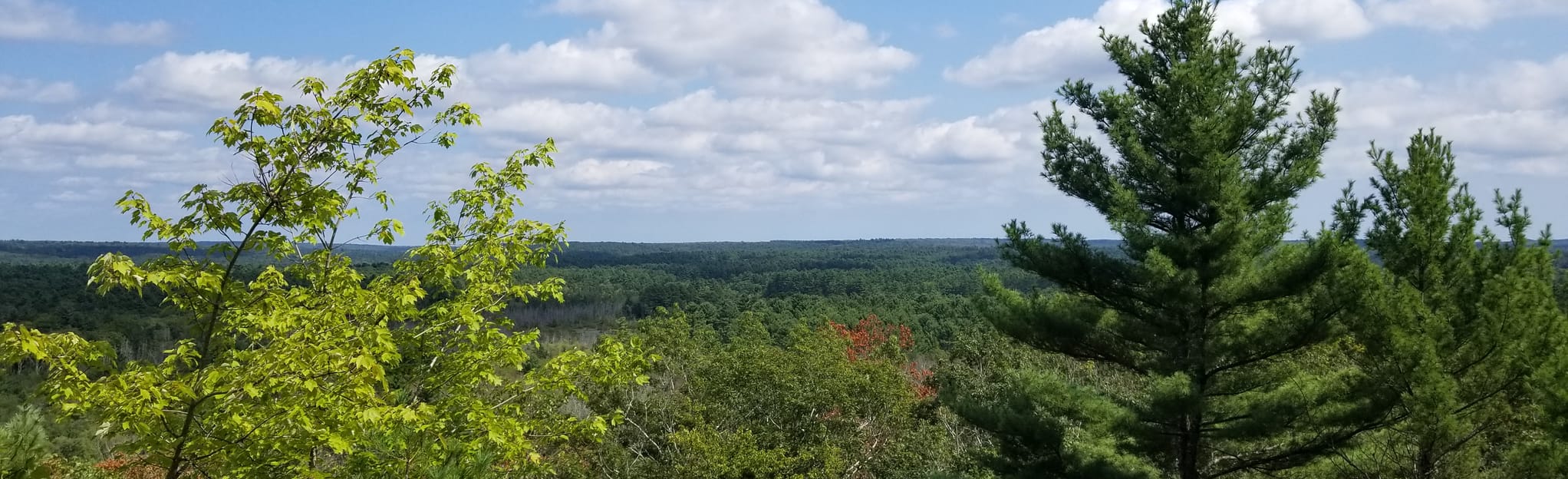 Mount Misery Trail, Connecticut - 859 Reviews, Map | AllTrails