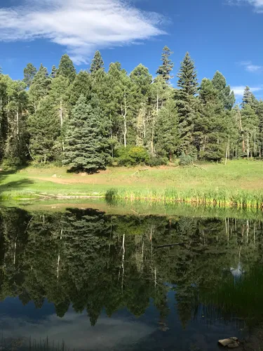 Best 10 Hikes and Trails in Carson National Forest | AllTrails