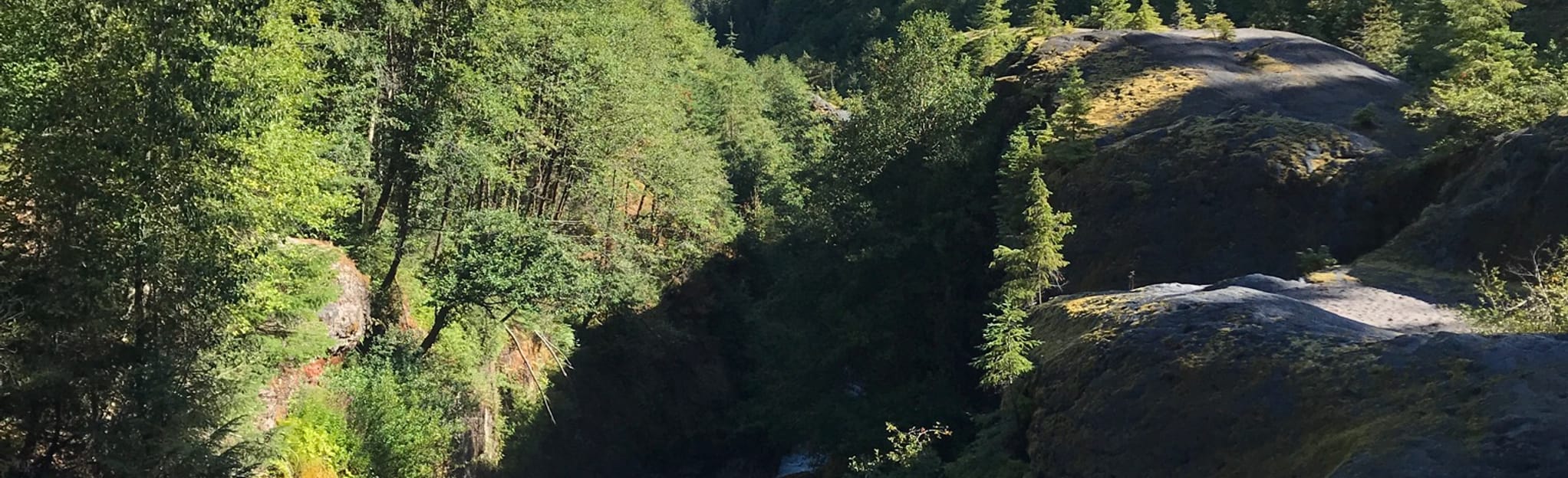 Lava Canyon Loop and FR 83 Extension Trail Loop: 586 foto's ...