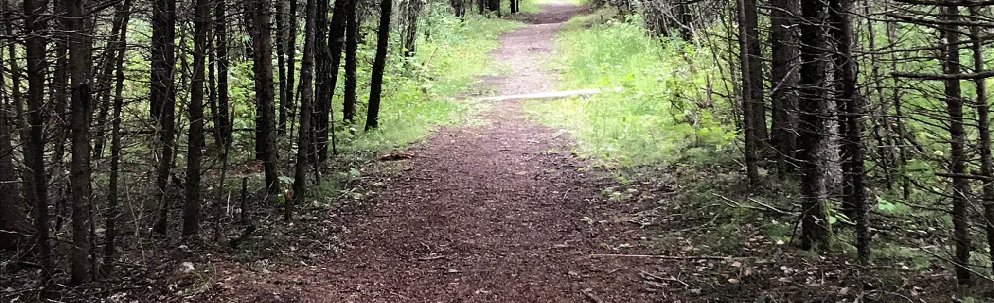 Arrowhead Trail: 226 Reviews, Map - Manitoba, Canada | AllTrails