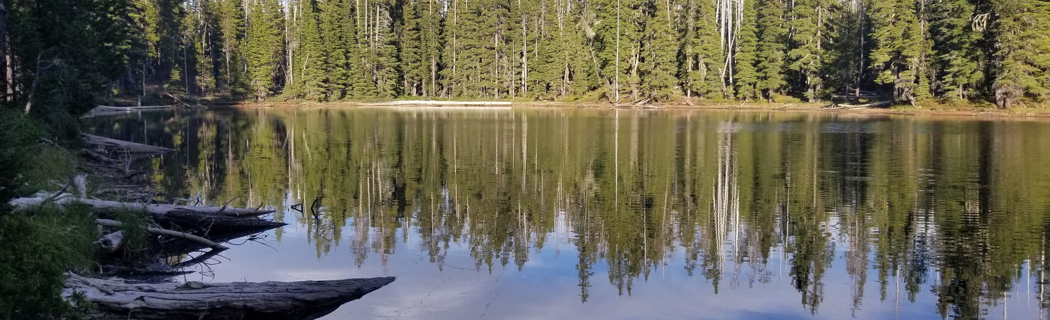 Yoran Lake Trail: 73 Reviews, Map - Oregon | AllTrails