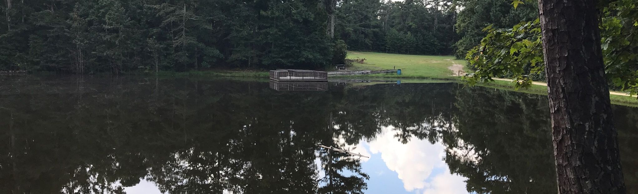 Clinton Walking Track and Yellow Trail Loop: 125 Reviews, Map - Georgia ...