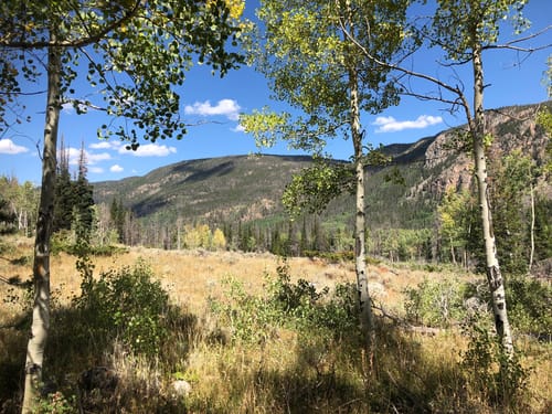 2023 Best 10 Trails and Hikes in Red Feather Lakes | AllTrails