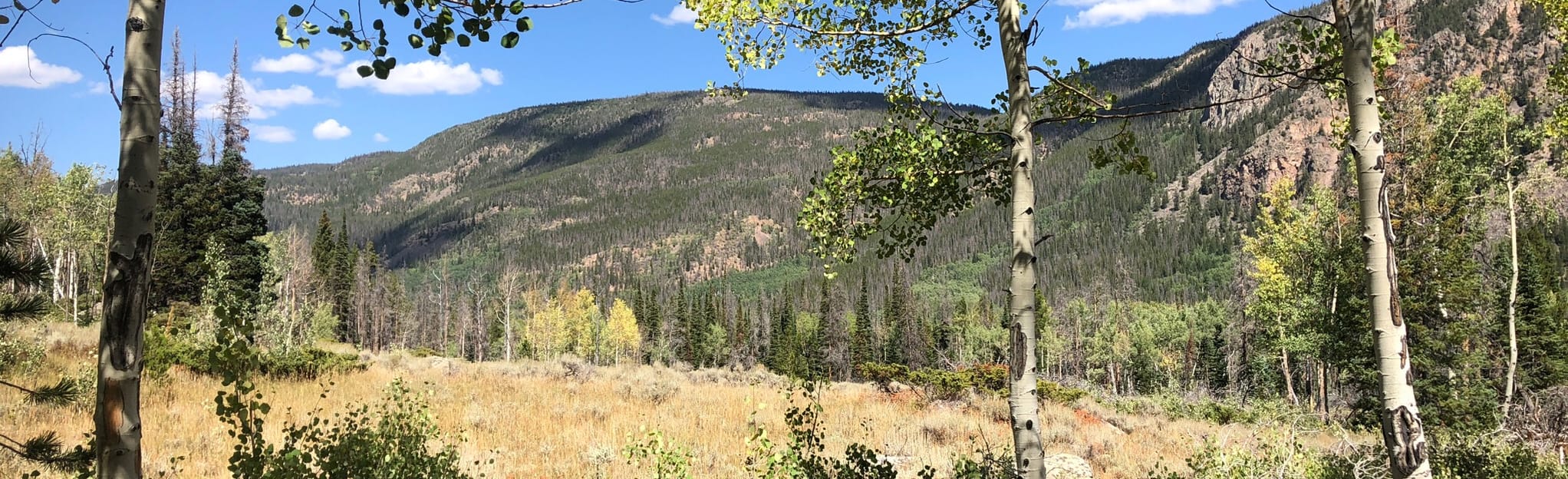 West Branch Trail, Colorado - 74 Reviews, Map | AllTrails